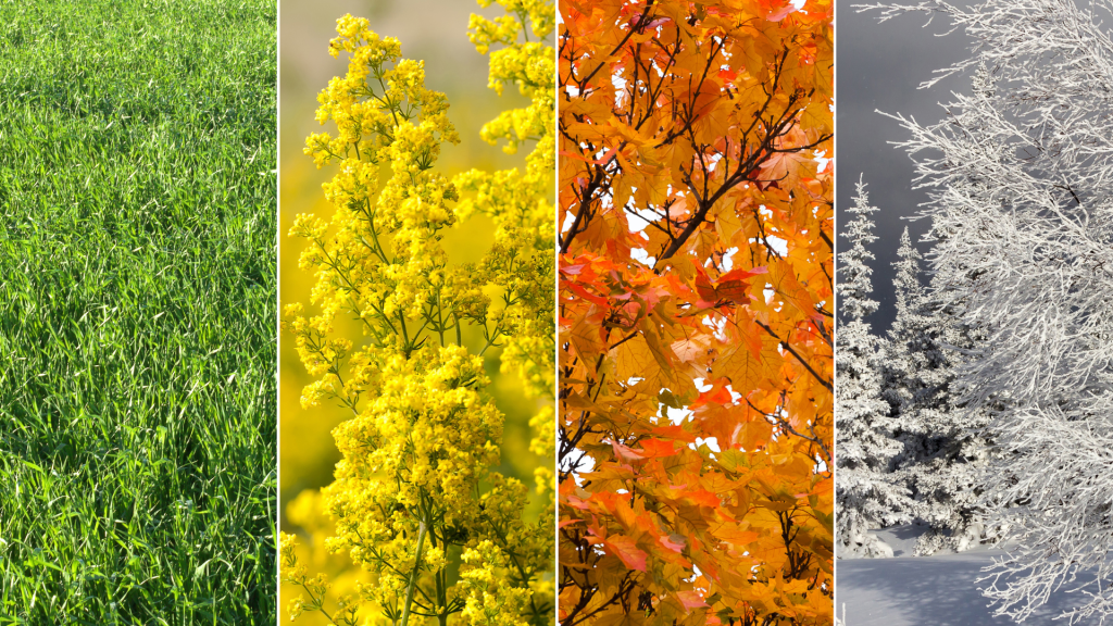 Why the Changing of the Seasons is Cathartic - ChristianWorks